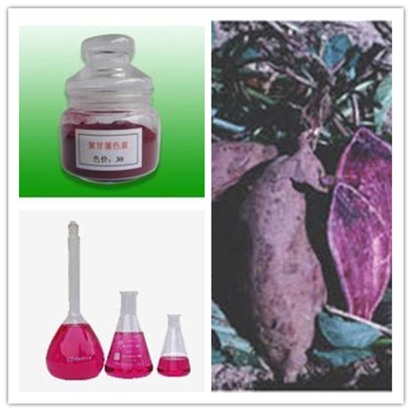 100% Natural Food Color Pigment Purple Sweet Potato extract from China ...